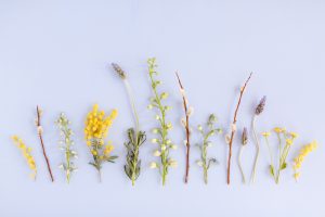 Aesthetic Desktop Wallpaper - NawPic